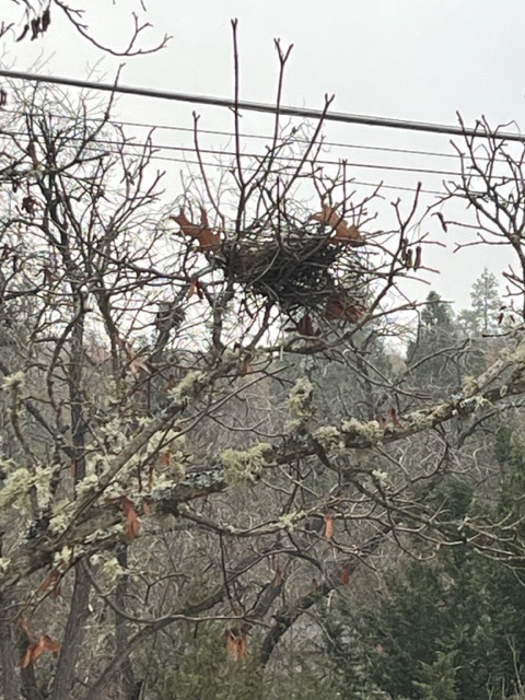 EVIDENCE OF LIFE | Garris Elkins